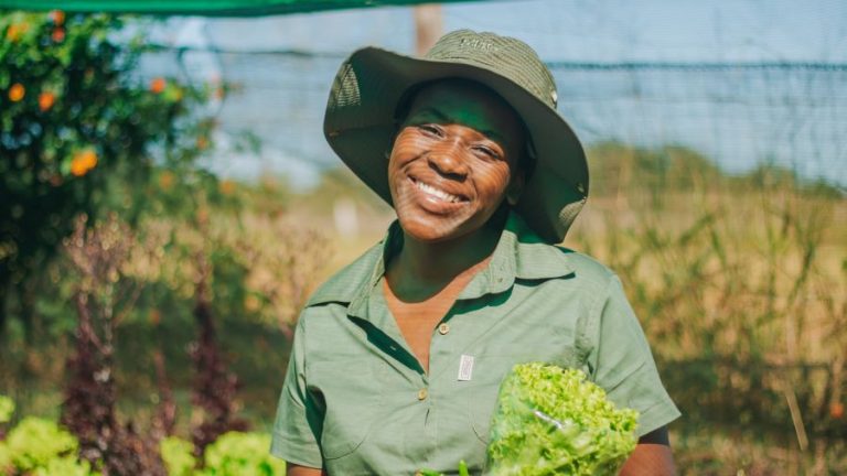 Green women of the future: Momentum Metropolitan aims to empower SA’s ...